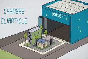 ELEA discovers Sense-city